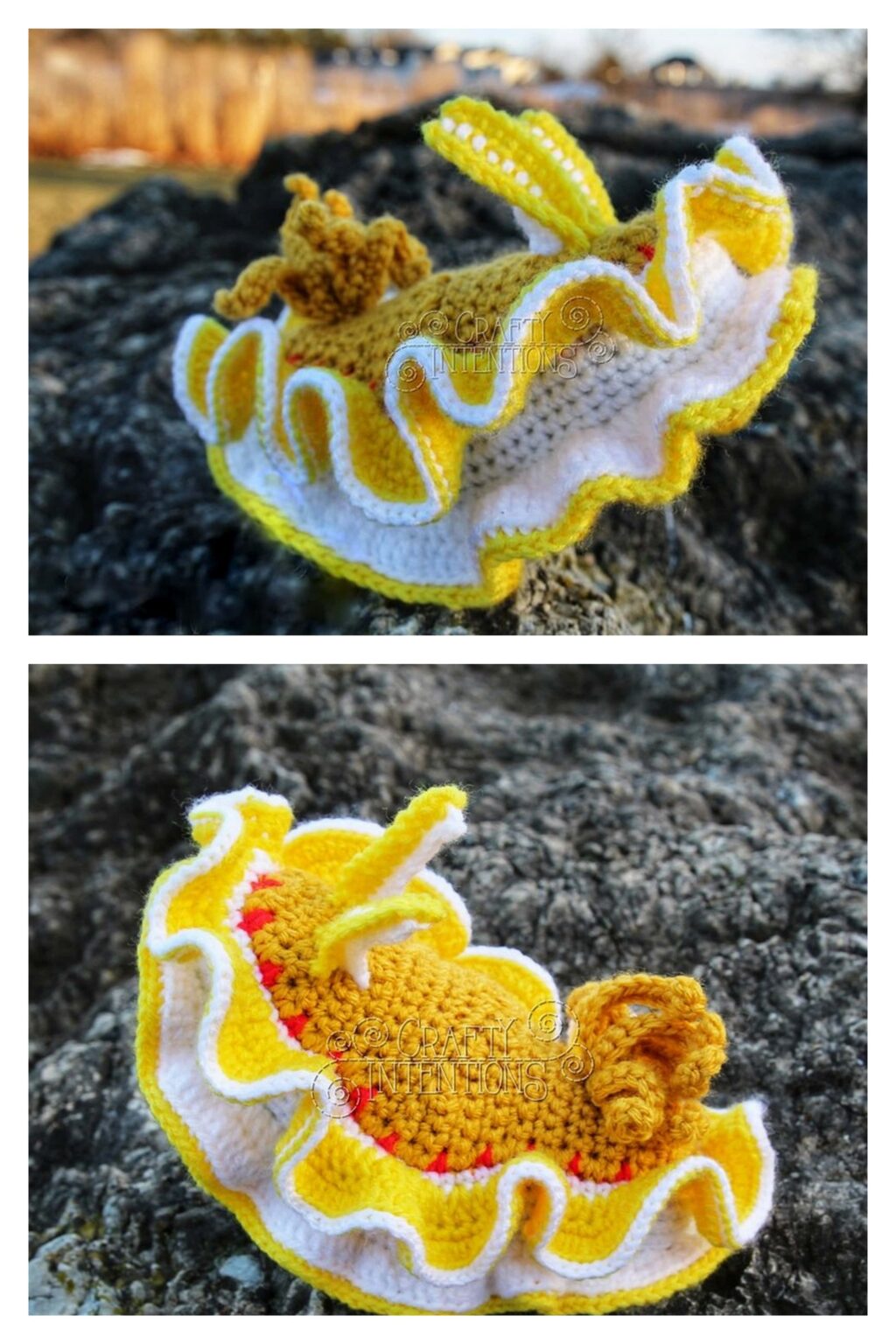 Amigurumi Rainbow Sea Slug Free Pattern-1 – Free Amigurumi Patterns