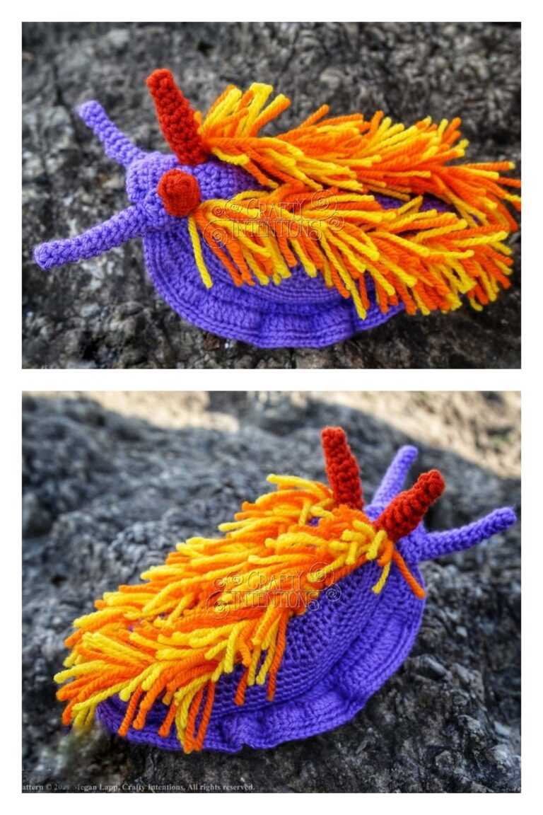 Amigurumi Rainbow Sea Slug Free Pattern-1 – Free Amigurumi Patterns