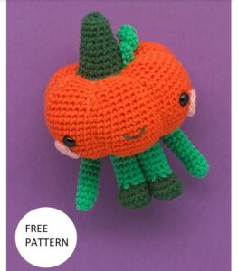 Amigurumi Pips The Pumpkin Free Pattern-1 - Free Amigurumi Patterns