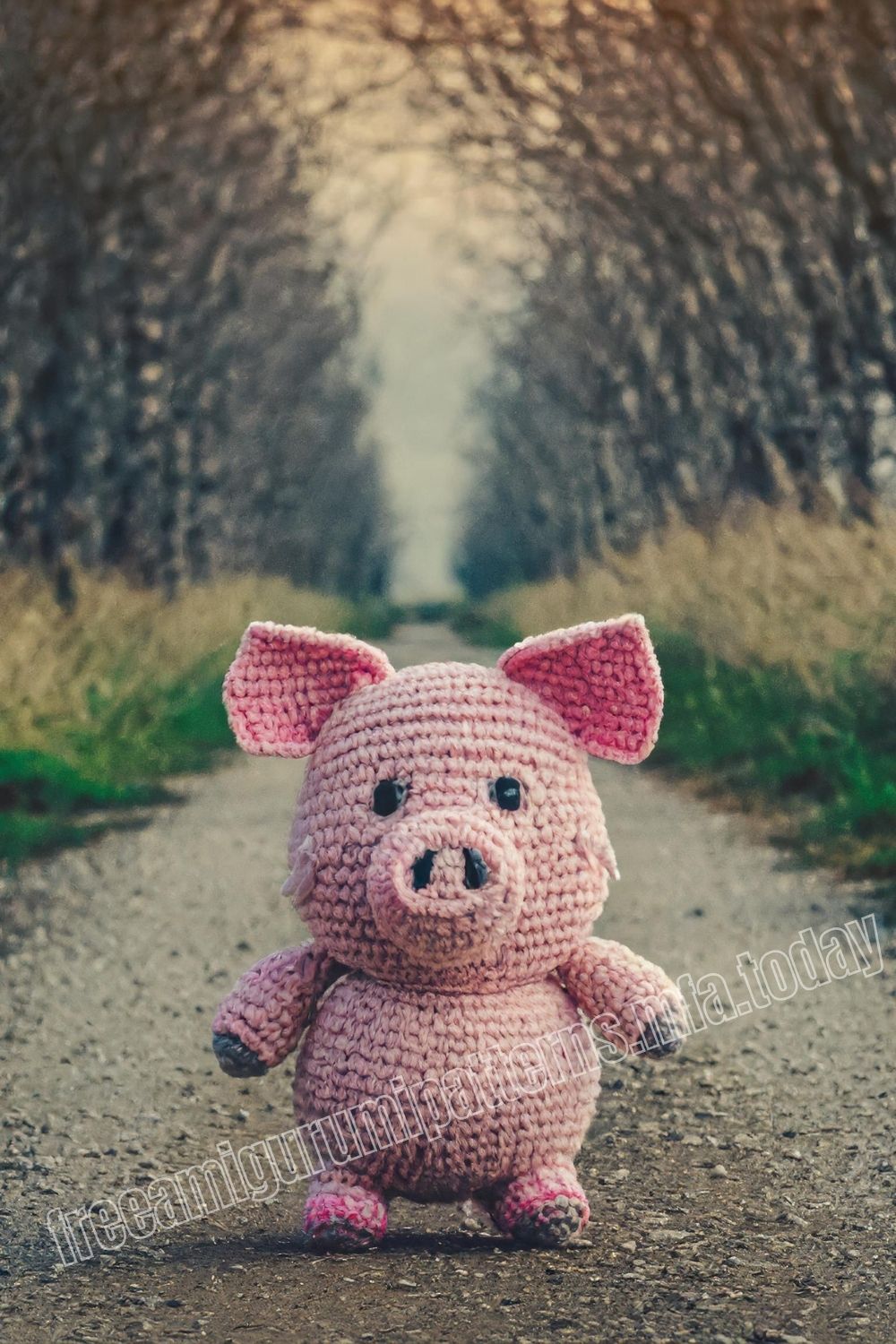 Amigurumi Little Pig Lizzo Free Pattern-5 – Free Amigurumi Patterns