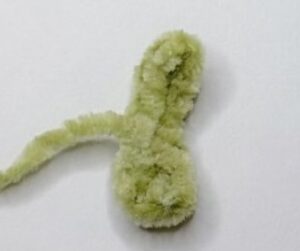 Amigurumi Green Fribbit Frog Free Pattern-1 – Free Amigurumi Patterns